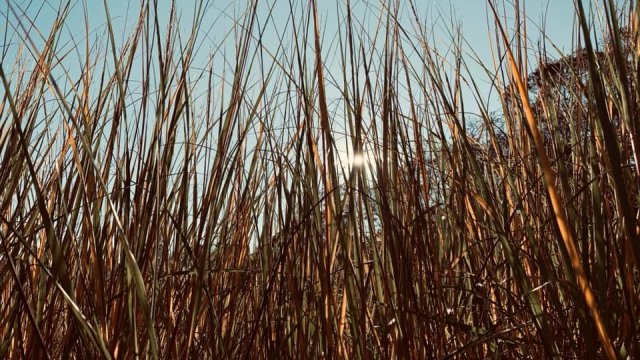 Dale Booth | Onset Campground